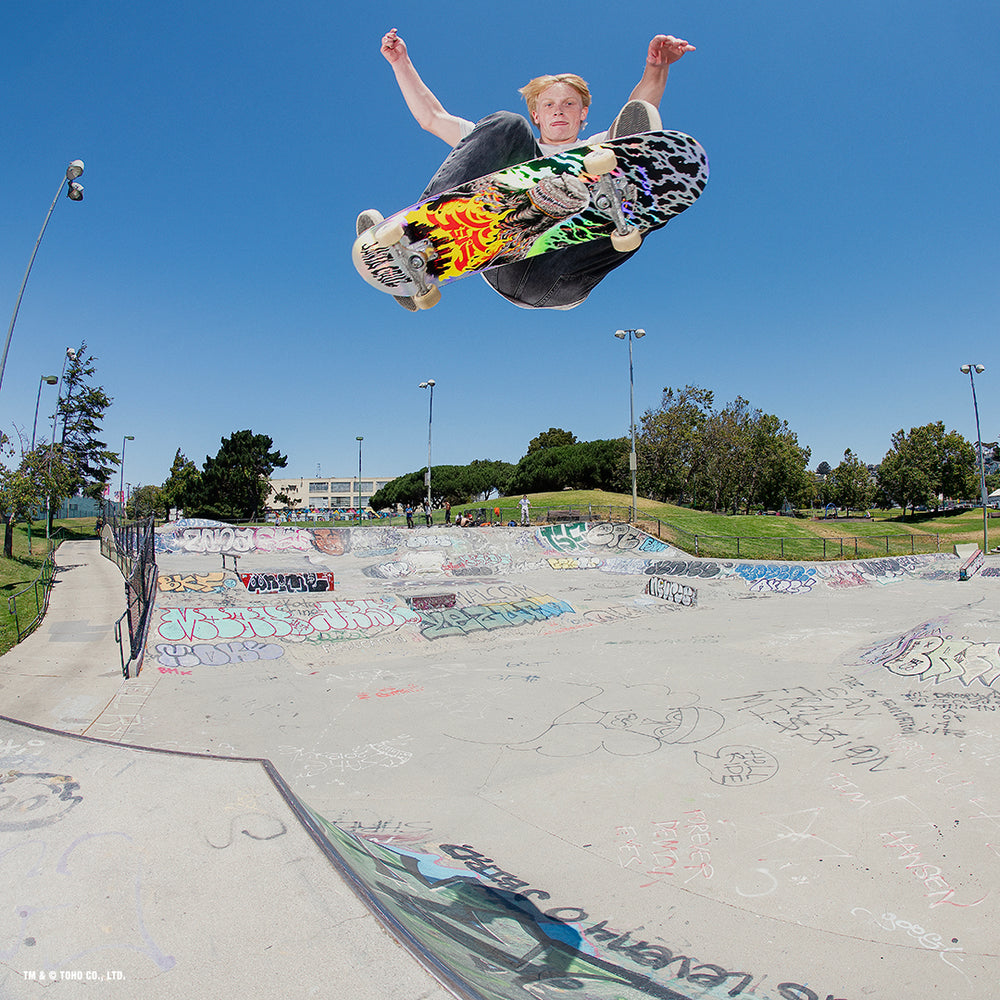 Skateboards, Longboards, and Snowboards at Stoked Ride Shop